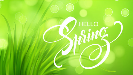 Frash spring green grass background Royalty Free Vector