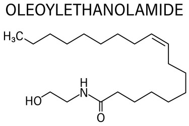 Oleoylethanolamide molecule skeletal formula Vector Image
