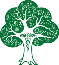 Tree with medical healthcare icons Royalty Free Vector Image