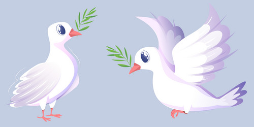 White dove 2 Royalty Free Vector Image - VectorStock