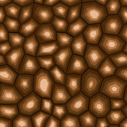 Abstract modern turtle shell seamless pattern Vector Image