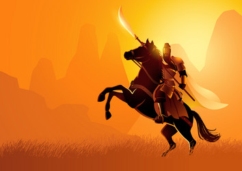 Chinese horse rider warrior of ancient china Vector Image