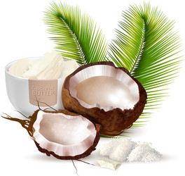 Coconut in a milk splash on transparent Royalty Free Vector
