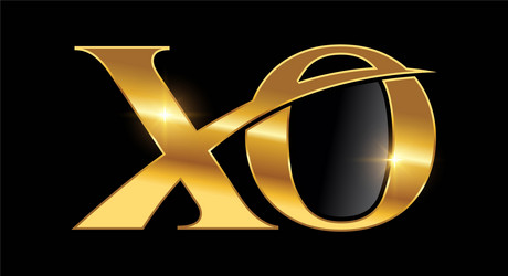 Golden monogram logo letter xo Royalty Free Vector Image