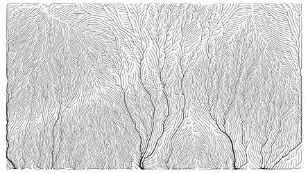 Growth pattern generative branching structure Vector Image