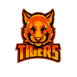 Tiger team logo Royalty Free Vector Image - VectorStock