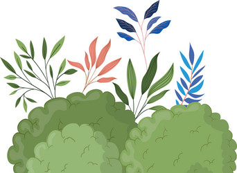 Shrubs Vector Images (over 16,000)