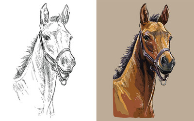 Horse Halter Vector Images (68)