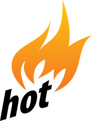 Fire diamond logo icon design Royalty Free Vector Image