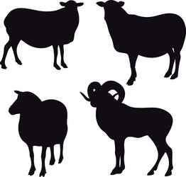 Male Sheep Vector Images (over 1,600)