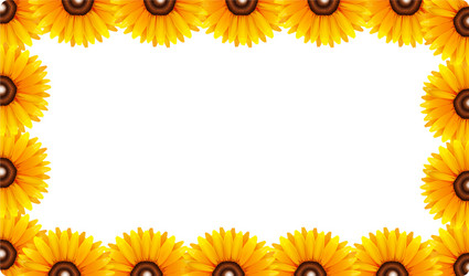 Yellow daisy flower border Royalty Free Vector Image