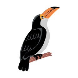 Tukan Vector Images (over 190)