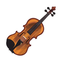 Classical string instruments in symphony orchestra