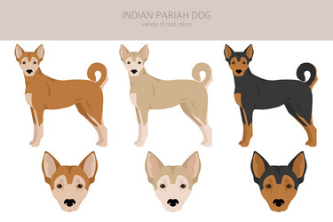 Dogs country origin indian dog breeds Royalty Free Vector