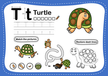 Turtle Flashcard Vector Images (over 110)
