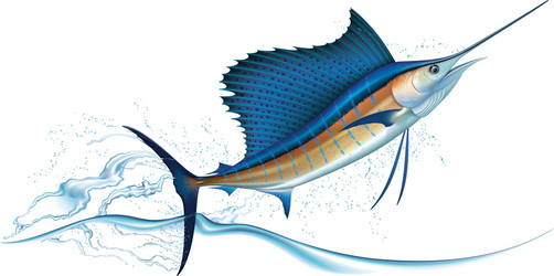 Free Sailfish Vector Images (30)