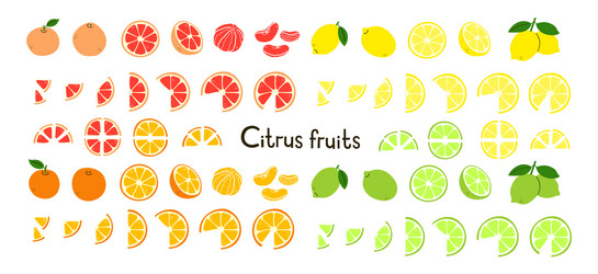 Grapefruit Animated Vector Images (59)