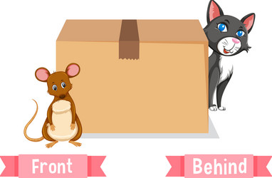 Opposite words for front and behind Royalty Free Vector