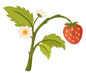 Strawberry Vector Images (over 120,000)