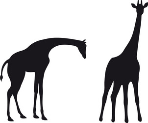 Animals Shadow Vector Images (over 50,000)