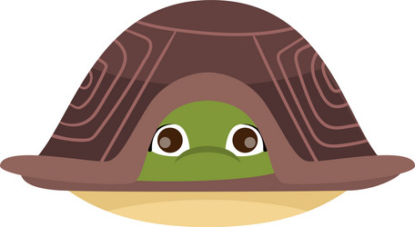 Cartoon Hide Turtle Vector Images (73)