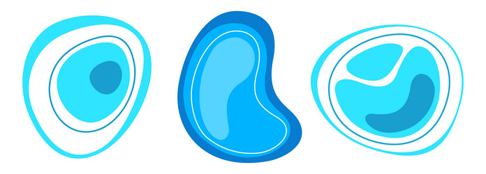 Set of 3 abstract liquid flat geometric shapes Vector Image