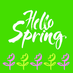 Welcome spring lettering handwritten with color Vector Image