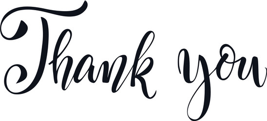 Handwritten Thank You Script Royalty Free Vector Image