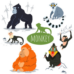 Monkey cartoon set Royalty Free Vector Image - VectorStock