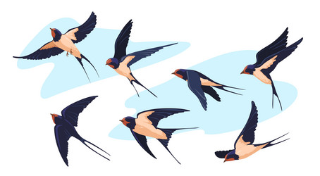 Flying bird in blue sky free wild swallow Vector Image