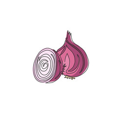 Shallot Drawing Vector Images (over 390)