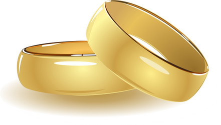 Broken wedding rings Royalty Free Vector Image