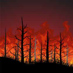 Woodland eco banner fire in forest wildfire Vector Image