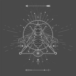 Bee Sacred Geometry Vector Images (98)