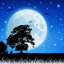 Full moon Royalty Free Vector Image - VectorStock