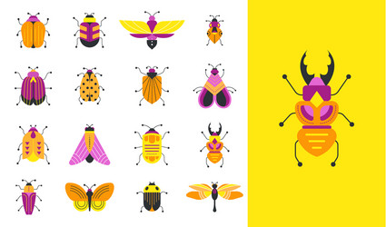 Bugs insects butterfly ladybug set Royalty Free Vector Image