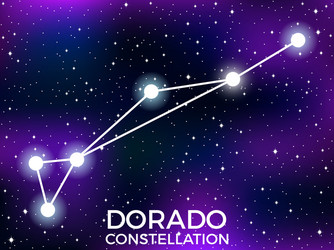 Dorado constellation starry night sky cluster Vector Image