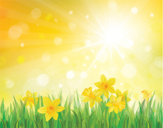 Spring nature background Royalty Free Vector Image