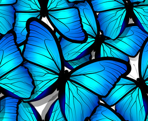 Blue butterfly wings Royalty Free Vector Image