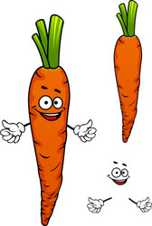 Carrot root vegetable cartoon Royalty Free Vector Image