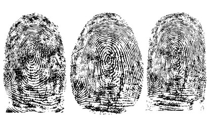 Fingerprint or fingertip print pattern Royalty Free Vector