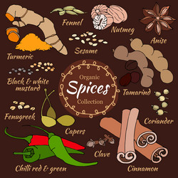 Plant predators such as venus flycatcher sundew Vector Image