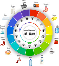 Ph scale circle Royalty Free Vector Image - VectorStock