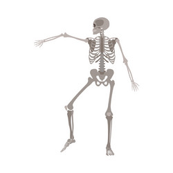 A Man Dead Body Cartoon Vector Images (over 1,500)
