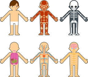 Kids Body Vector Images (over 28,000)