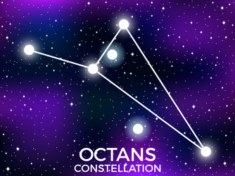 Octans constellation starry night sky cluster Vector Image