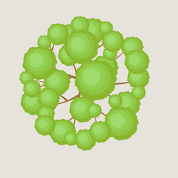 Tree crown flat design Royalty Free Vector Image