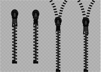 Beautiful closed and open zip detail Royalty Free Vector