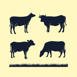 Angus Cattle Vector Images (over 1,200)