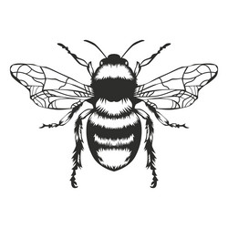 Free Engraving Vector Images (over 1,500)